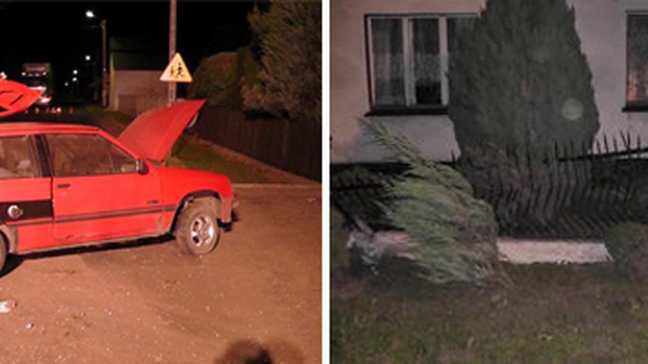 Pijana, bez prawa jazdy, z piątką pasażerów wylądowała na płocie